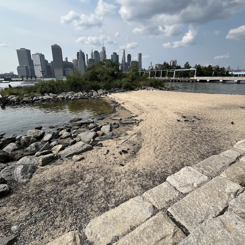 Brooklyn Height Self-Guided Walking Tour - Walk This Way NYC